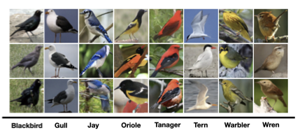 Deep Generative Clustering with Multimodal Diffusion Variational ...